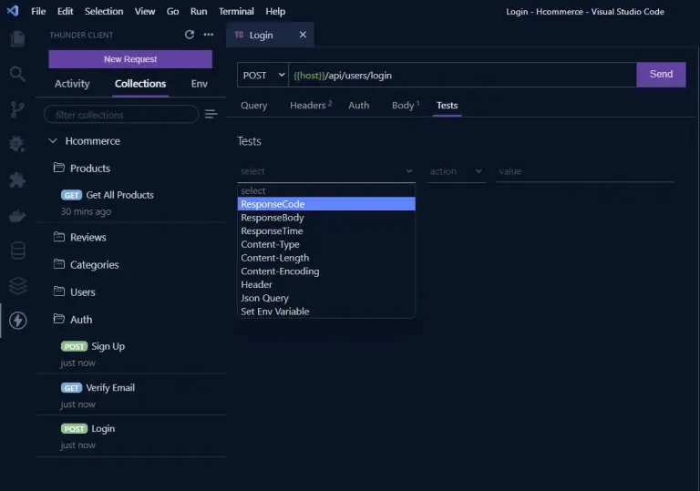 How To Make HTTP Requests in VS Code (No Postman) 2024