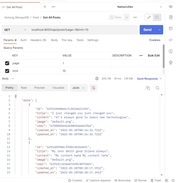 Build Crud Restful Api Server With Golang Gin And Mongodb 2024