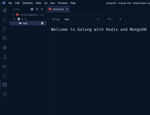 API with Golang + MongoDB + Redis + Gin Gonic: Project Setup 2024
